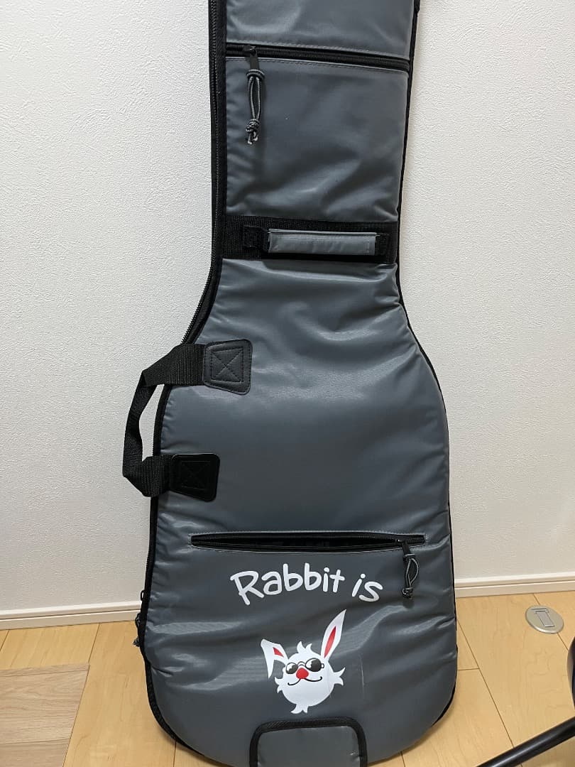 rabbit is コリーナ　2019年製　エレキギター