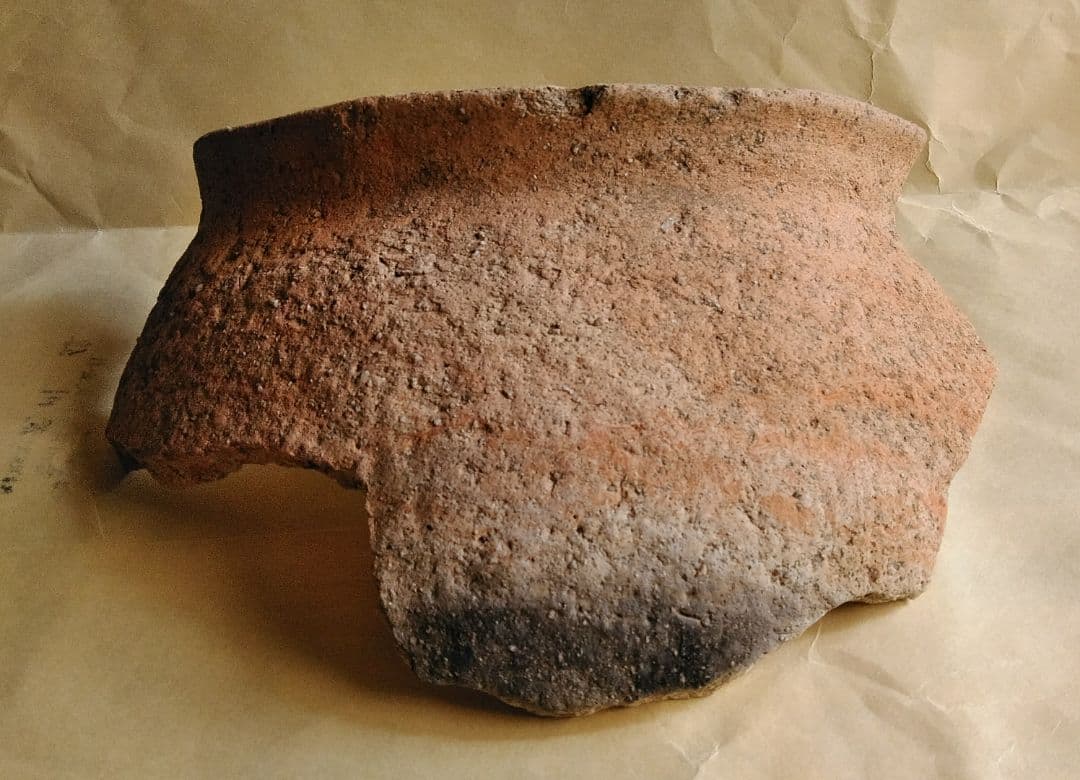 弥生時代　土器片　  MAX 22㎝　特大