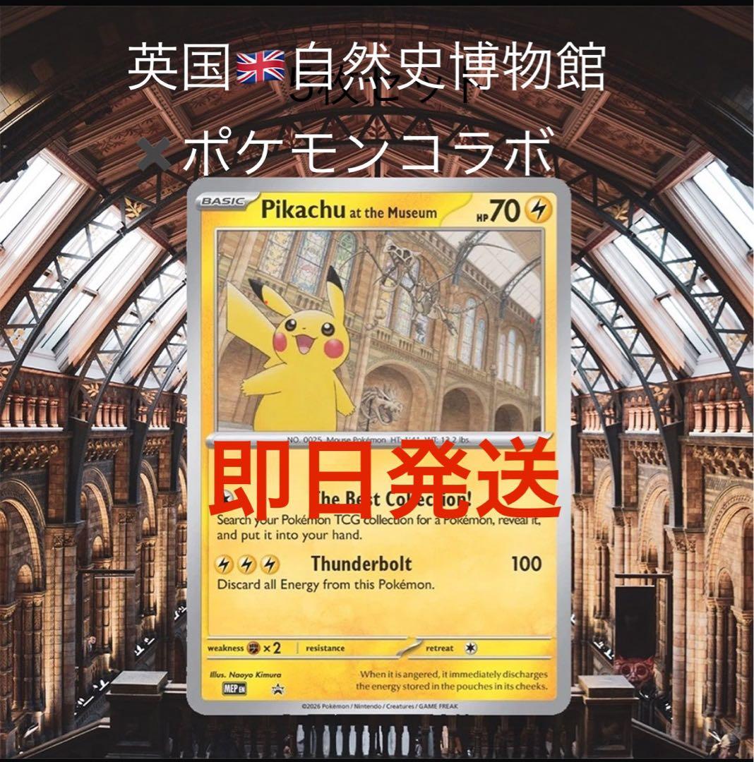 Pikachu at the Museum プロモ ピカチュウ 期間限定品