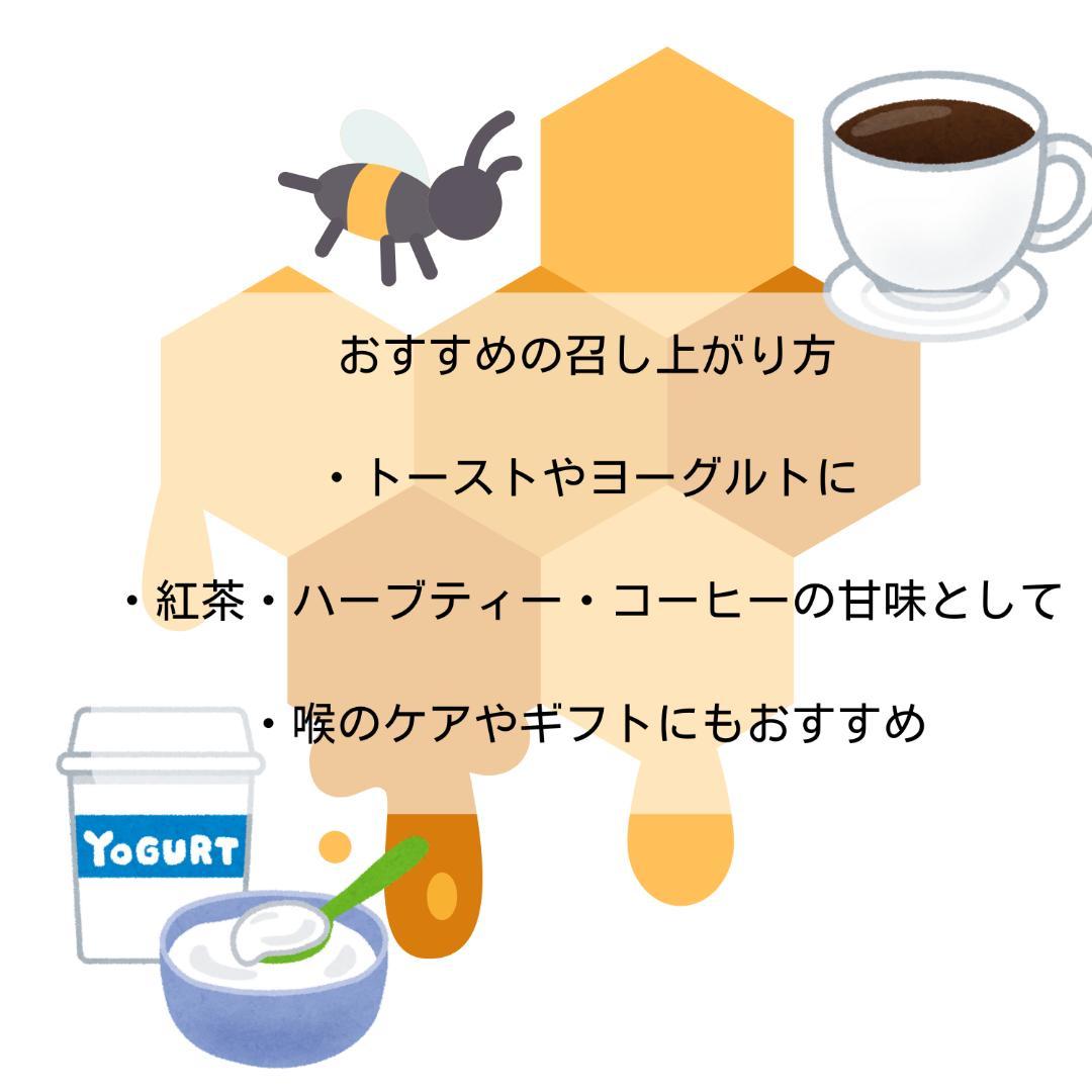 限定2セット【群違い】ニホンミツバチの国産百花蜜 1kg×2本　非加熱無添加