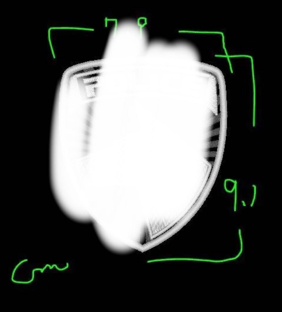 オリジナル　ベルクロタイプ２枚