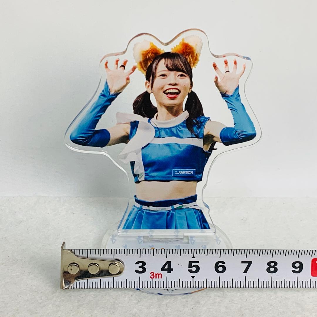 塩澤美咲 日本ハムファイターズガール　アクスタ＆アクキー グッズセット