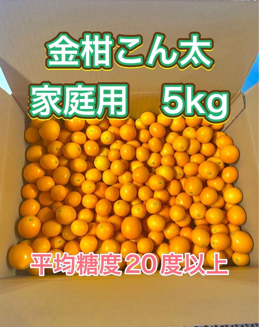 金柑こん太　家庭用5kg