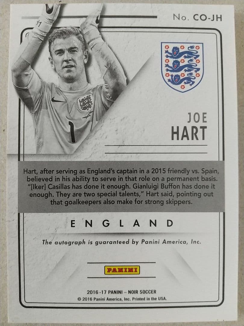 その他 panini noir Joe Hart