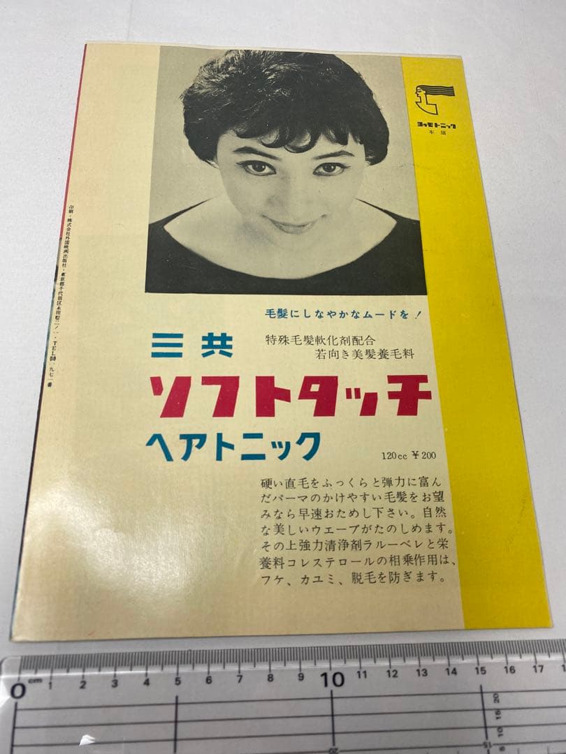 ★フランケンシュタインの復讐★映画パンフレット★当時物★激レア★逆襲の続編