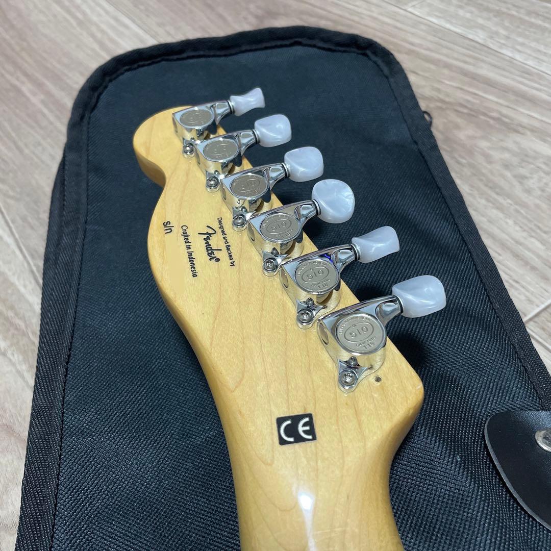 ギター Squier Vintage Modified TelecasterCustom