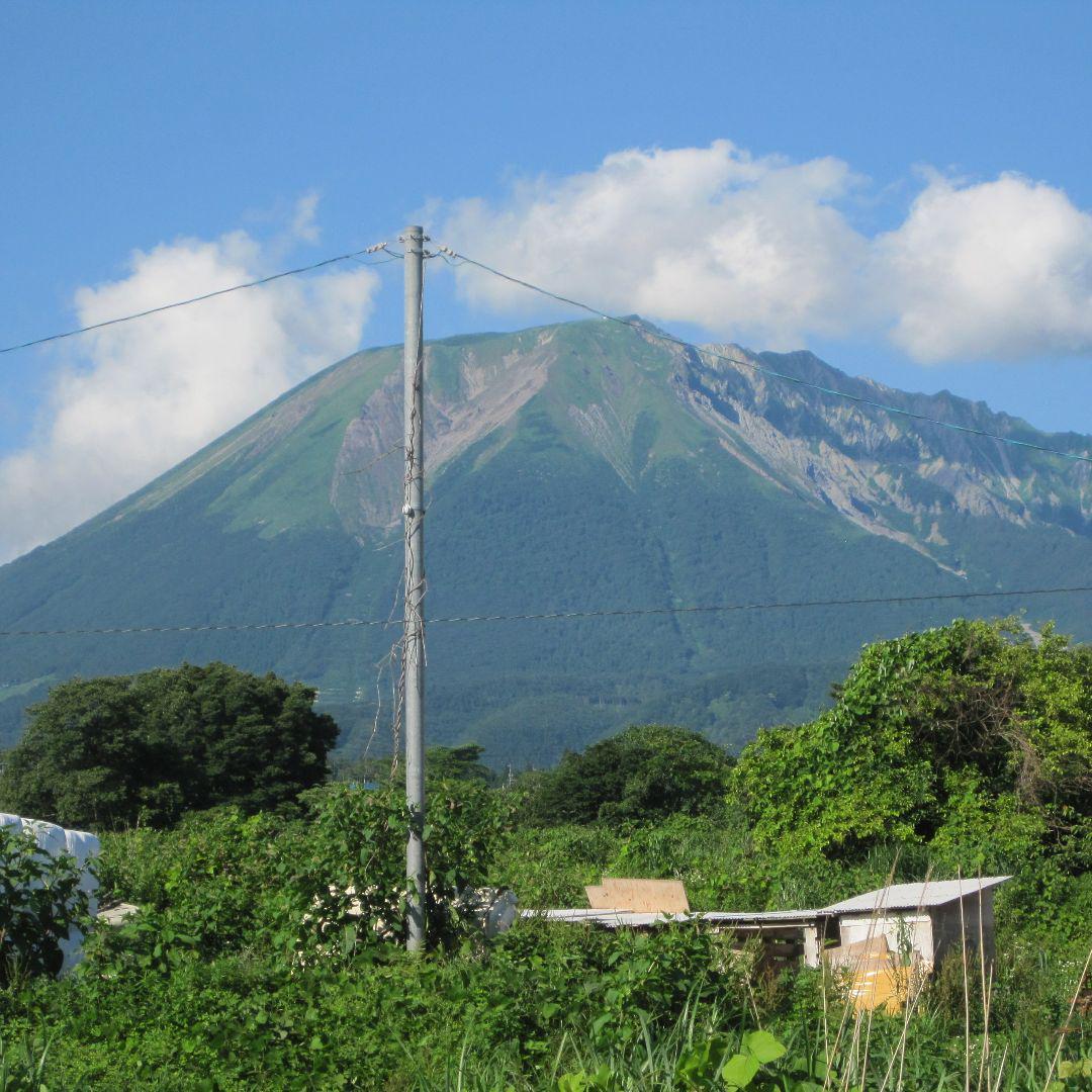☸️アカシア蜂蜜５本&百花蜜５本　国産 生はちみつ　非加熱ハチミツ