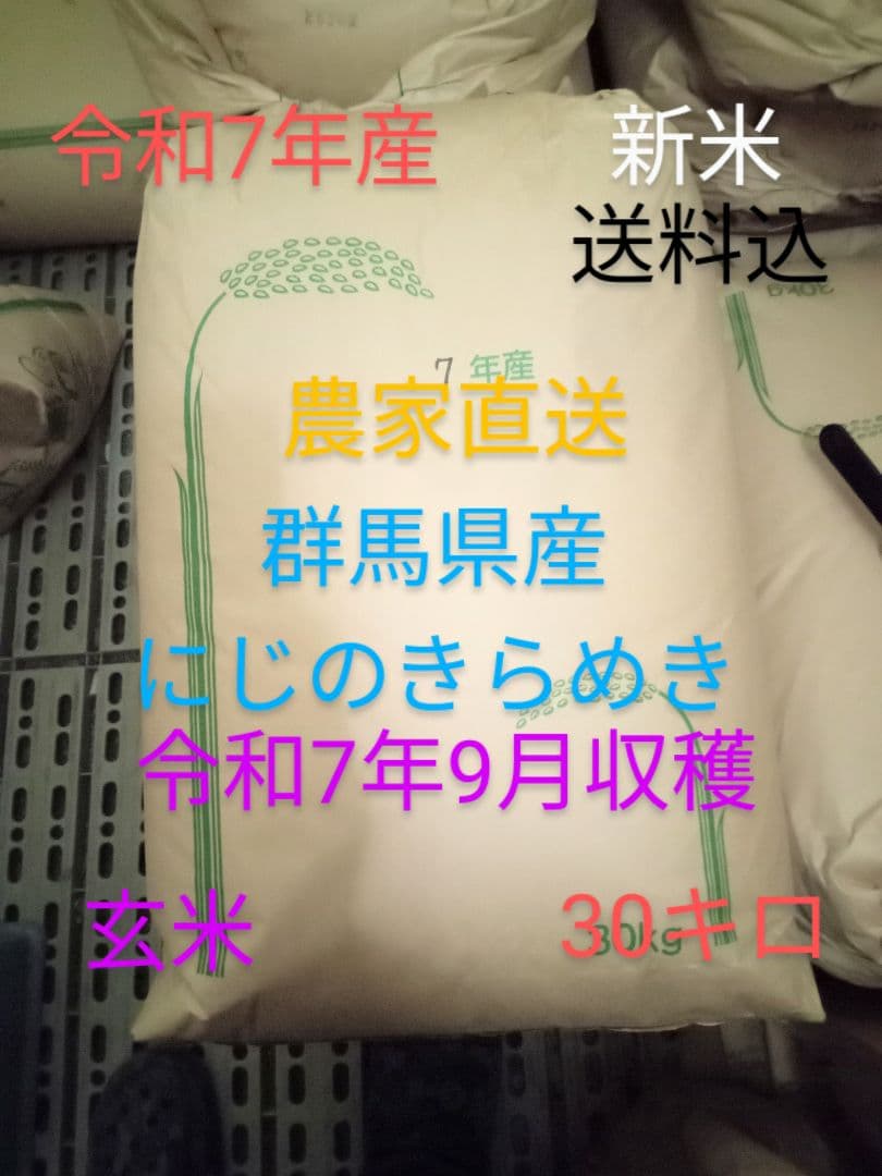 R7年産 新米 群馬県産 にじのきらめき 30キロ 玄米 送料込 30kg ②