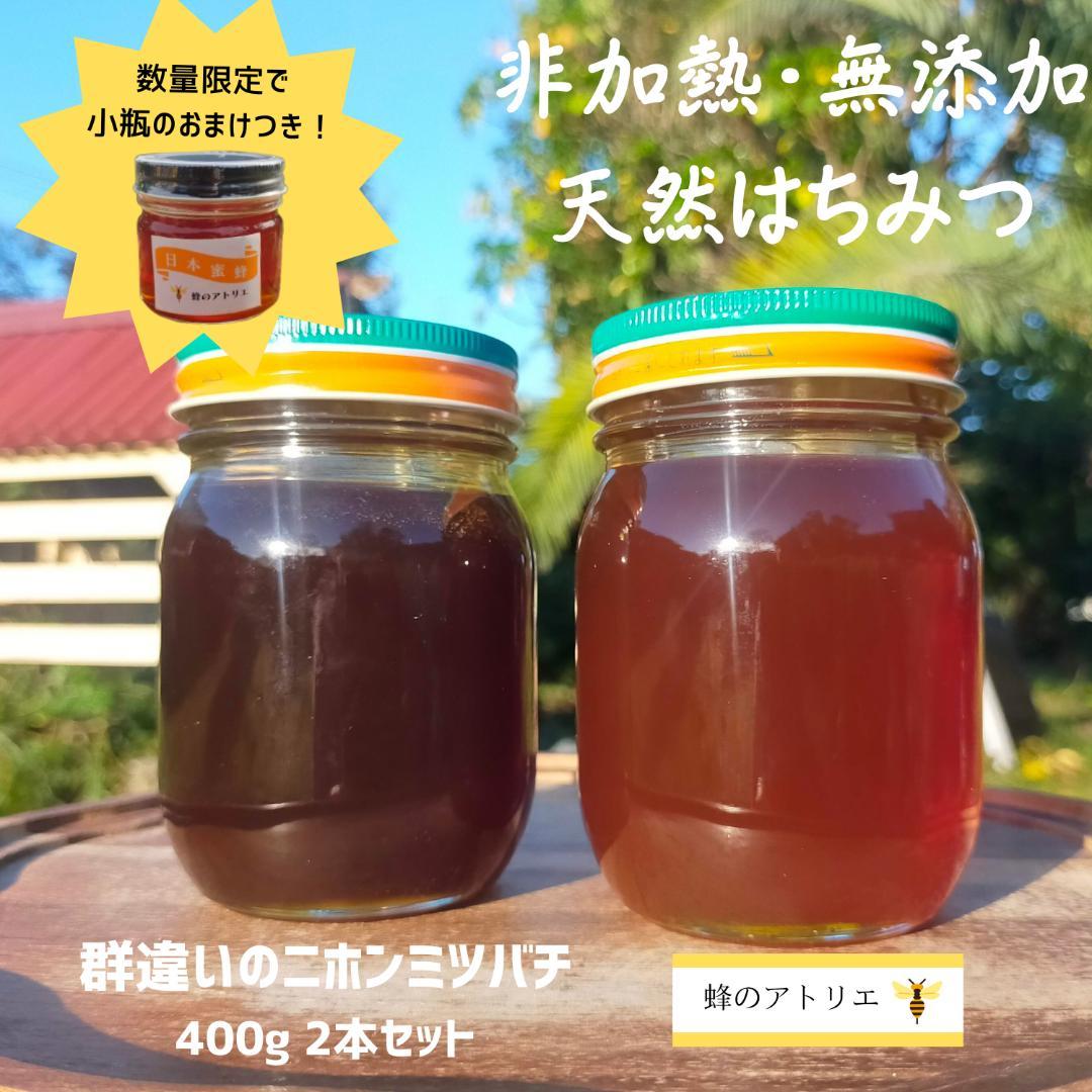 【残り1セット】ニホンミツバチの国産百花蜜 400g×2本