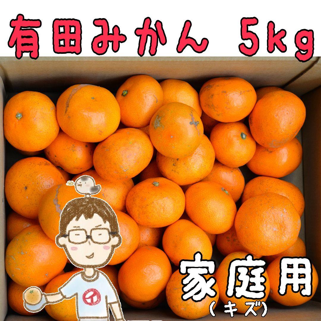 説明をよく読んで★有田みかん 5kg★家庭用