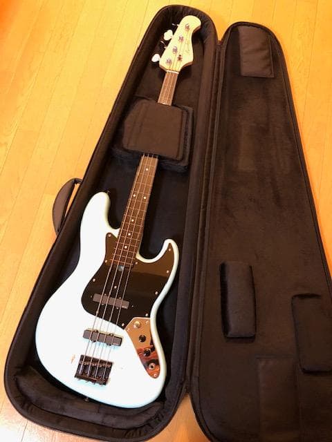 サドウスキー Sadowsky Bass PortaBag　ベース用