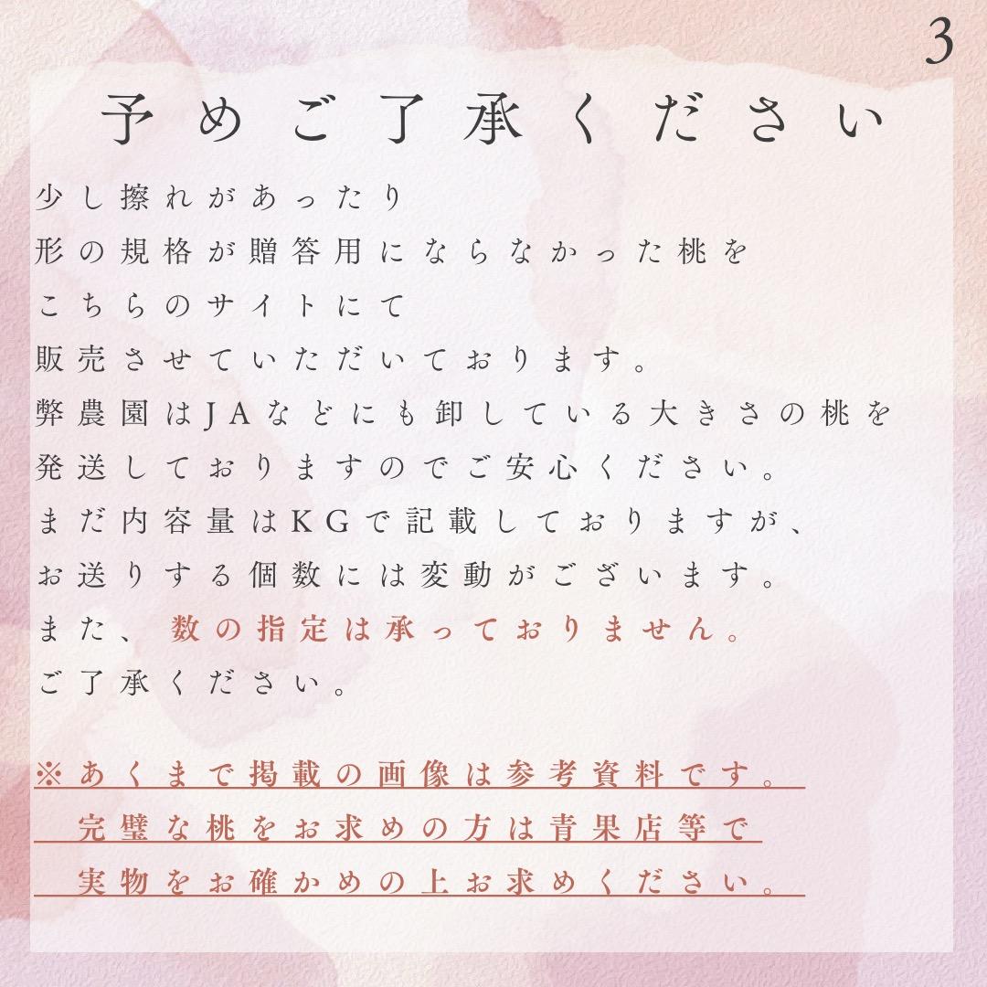 【リピ割】ことり 自宅用【幸茜10kg 約24-36個】