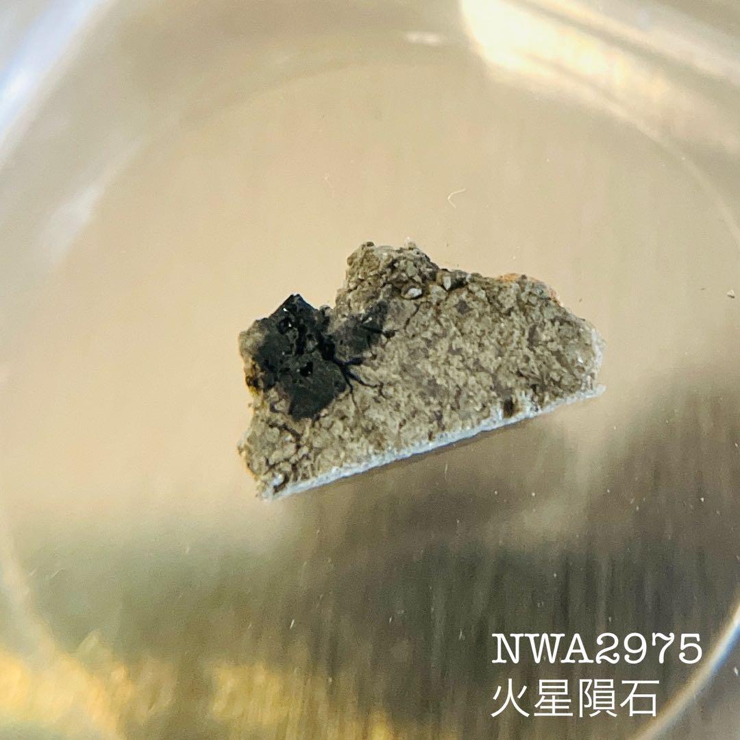 火星隕石 NWA2975 Martian Meteorite