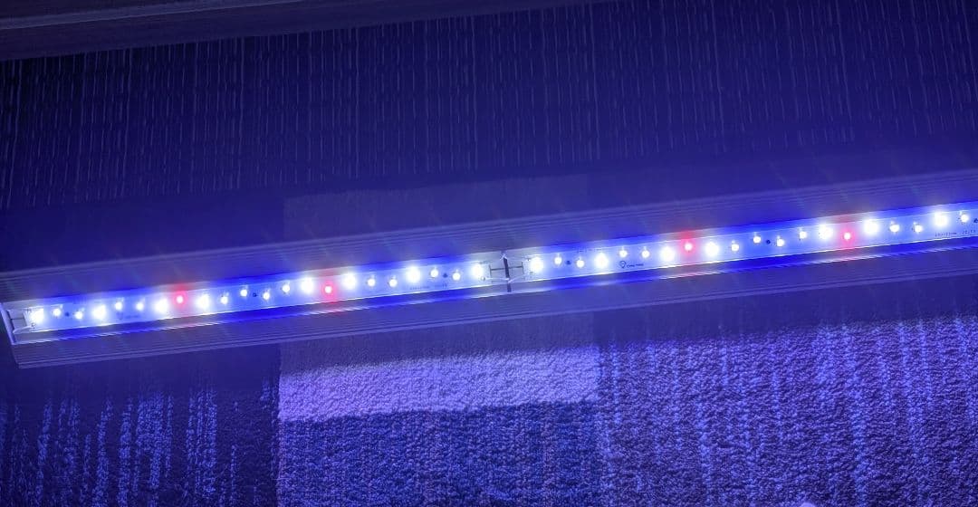 アクロ TRIANGLE LED MARINE 900 海水魚 サンゴ ライト