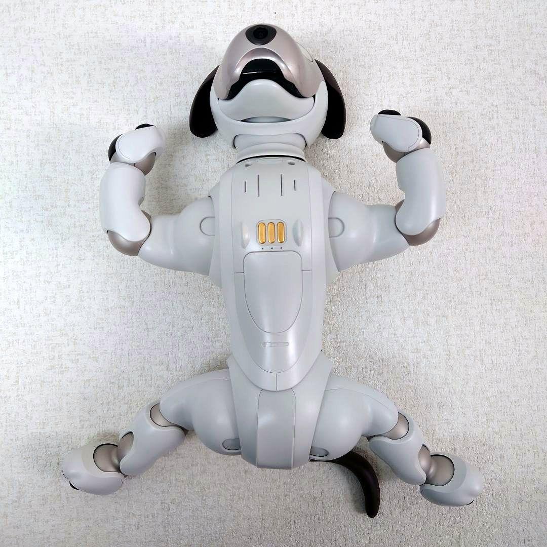 M0116D1 aibo ERS-1000 エンタテインメントロボット
