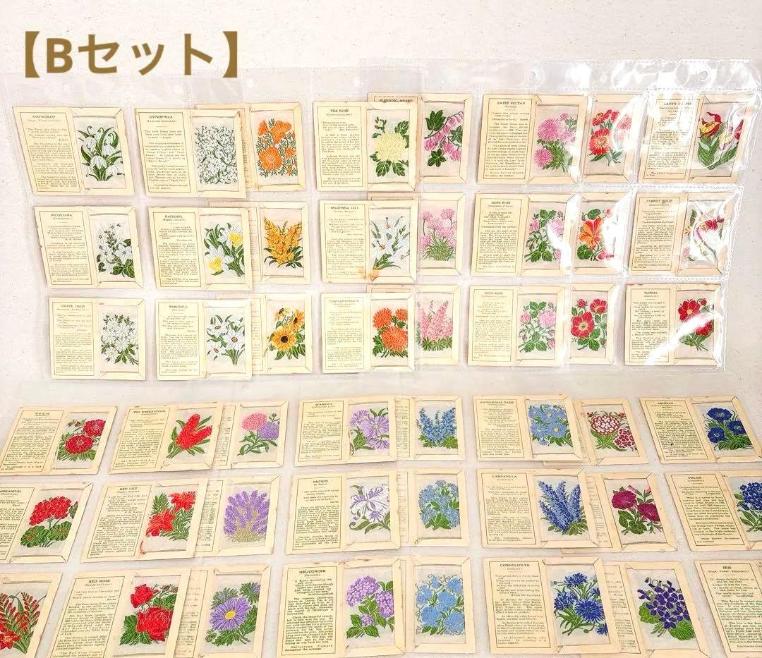 【Bセット】花の刺繍　シガレットカード　Sサイズ 48枚セット