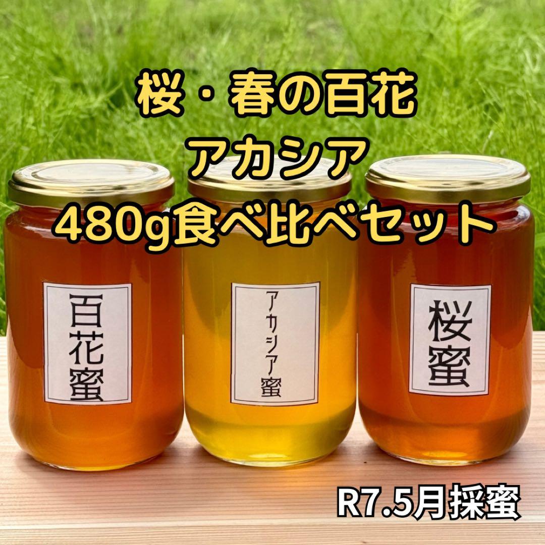 茨城県産　無添加非加熱純粋ハチミツ　食べ比べセット　480g✖️3個