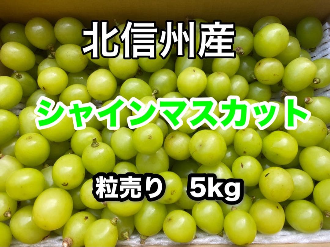 長野県産　シャインマスカット　訳あり　粒売り　5kg