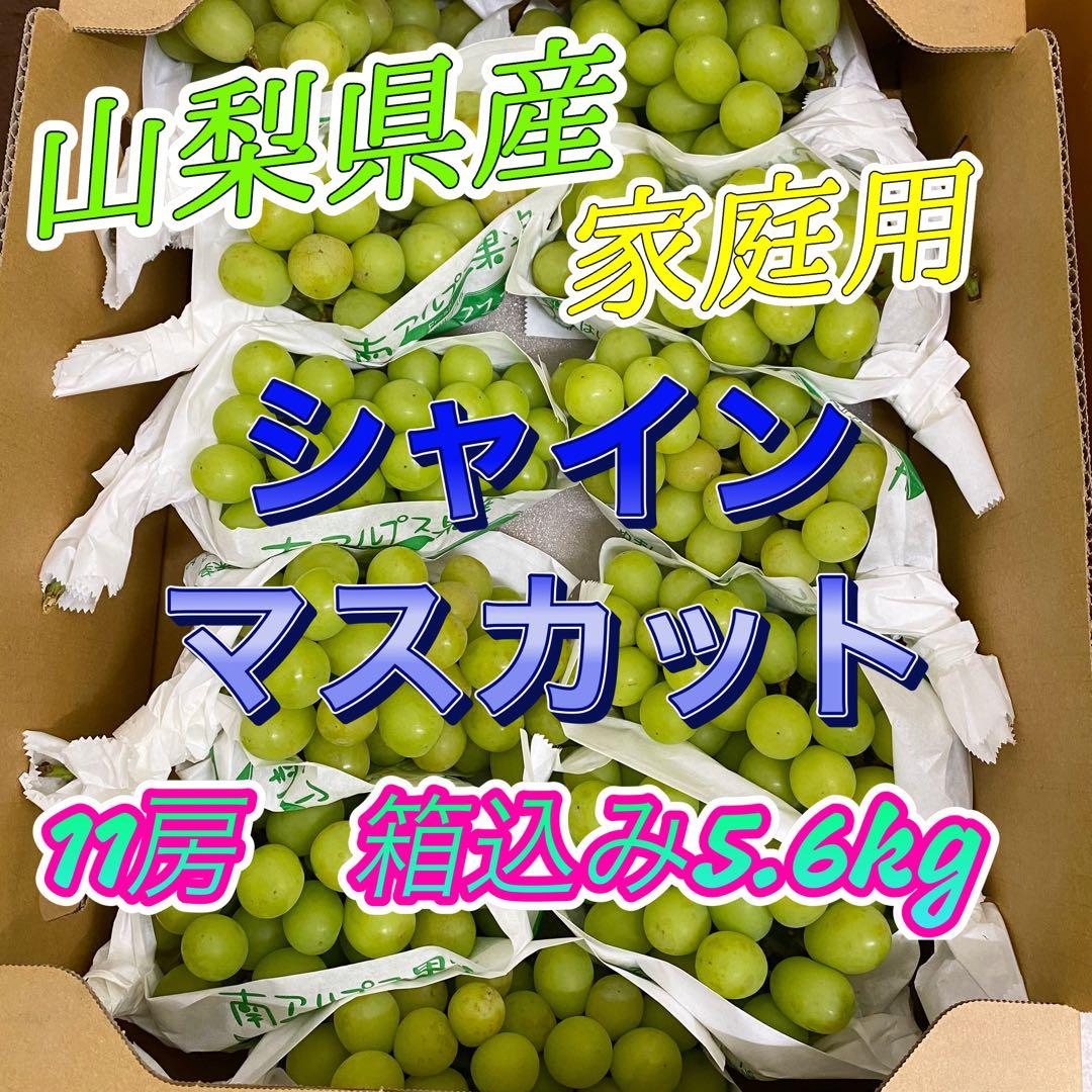 山梨県産　訳あり　家庭用　シャインマスカット　11房　箱込み5.6kg ⑭