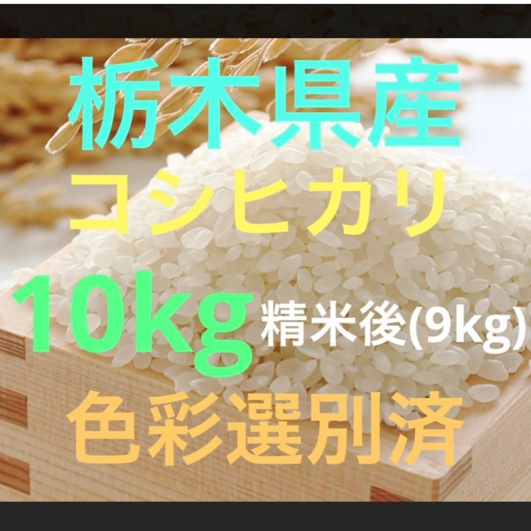令和6年産農家直売コシヒカリ白米9kg