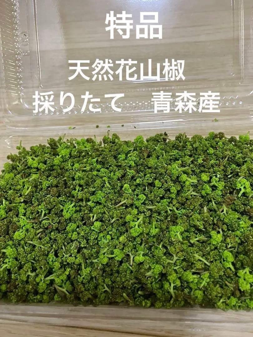 天然　花山椒　蕾　採りたて140g青森産