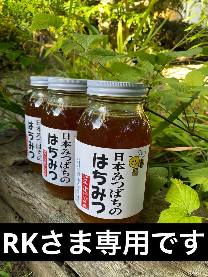 ハチミツ　日本蜜蜂の蜂蜜　奥山の奥のはちみつ