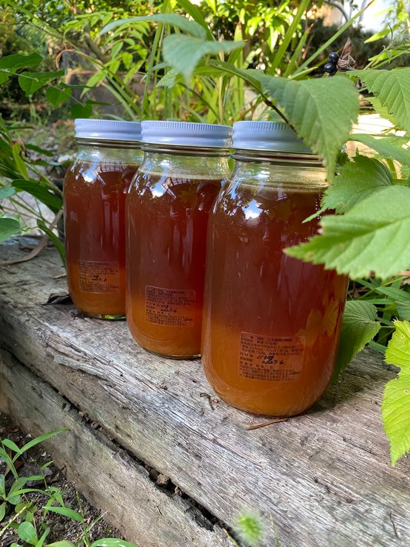 ハチミツ　日本蜜蜂の蜂蜜　奥山の奥のはちみつ