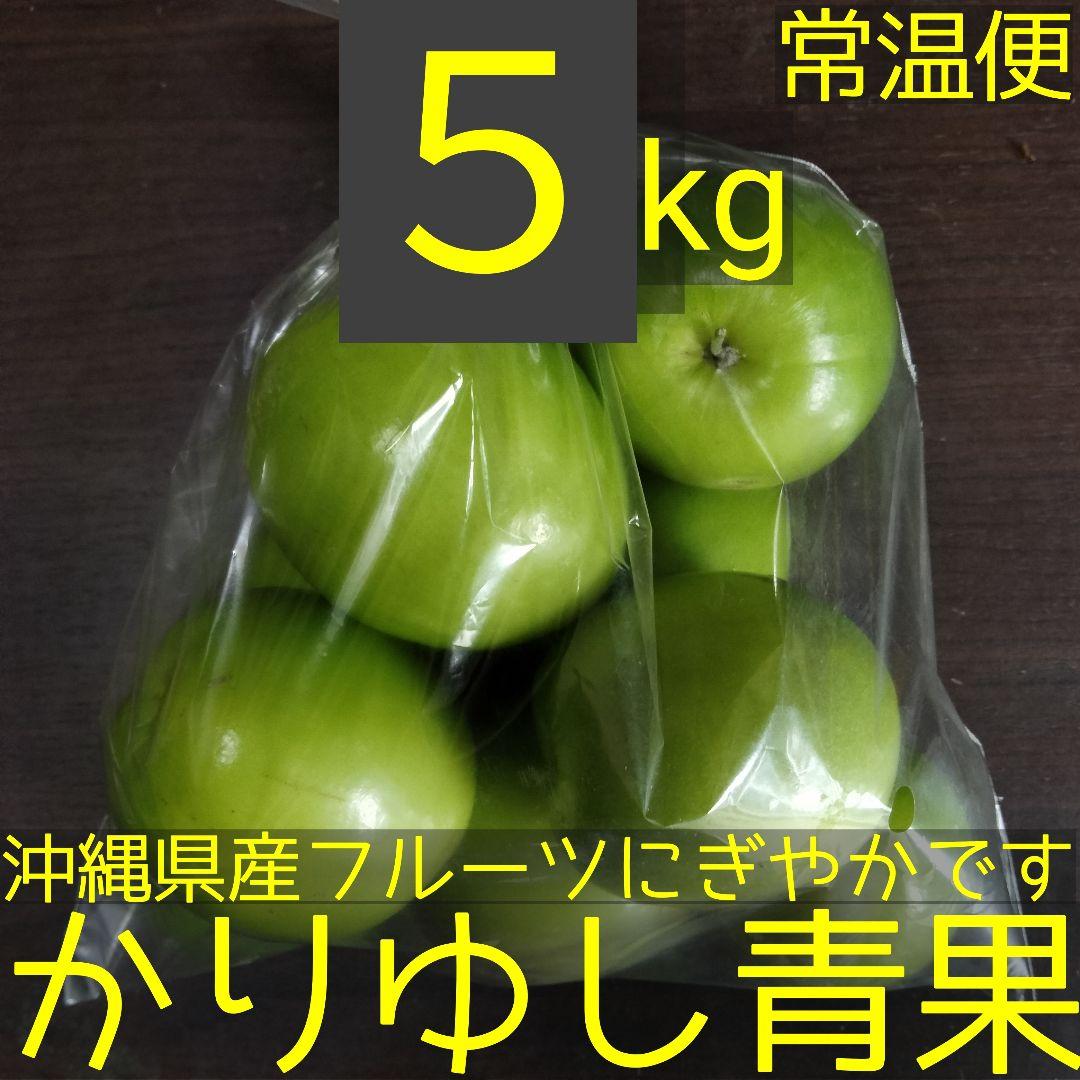 沖縄県産 インドナツメＢ品 約５kg【常温便】①
