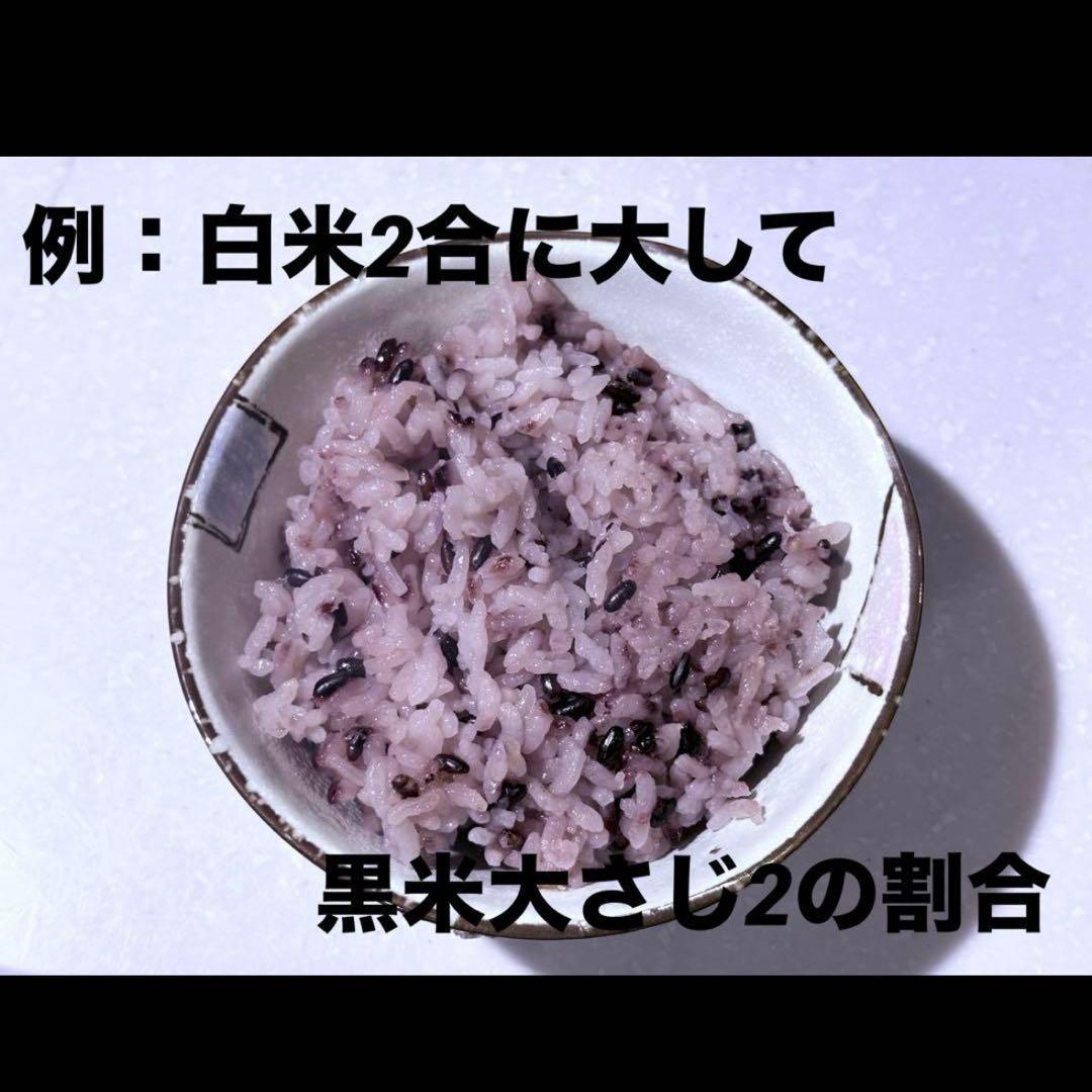 7年度愛知県産 黒米 10Kg