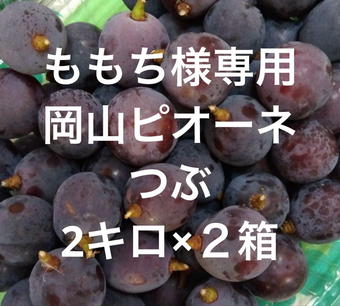 ももち　岡山ピオーネ　切り落とし粒2キロ×２箱