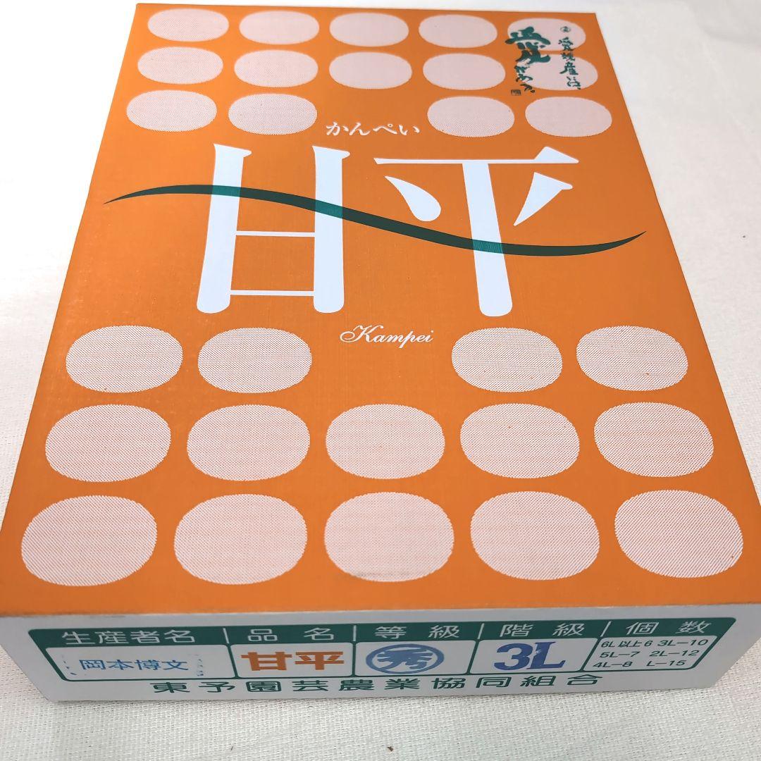 愛媛県産甘平みかん3Lサイズ 10個入り