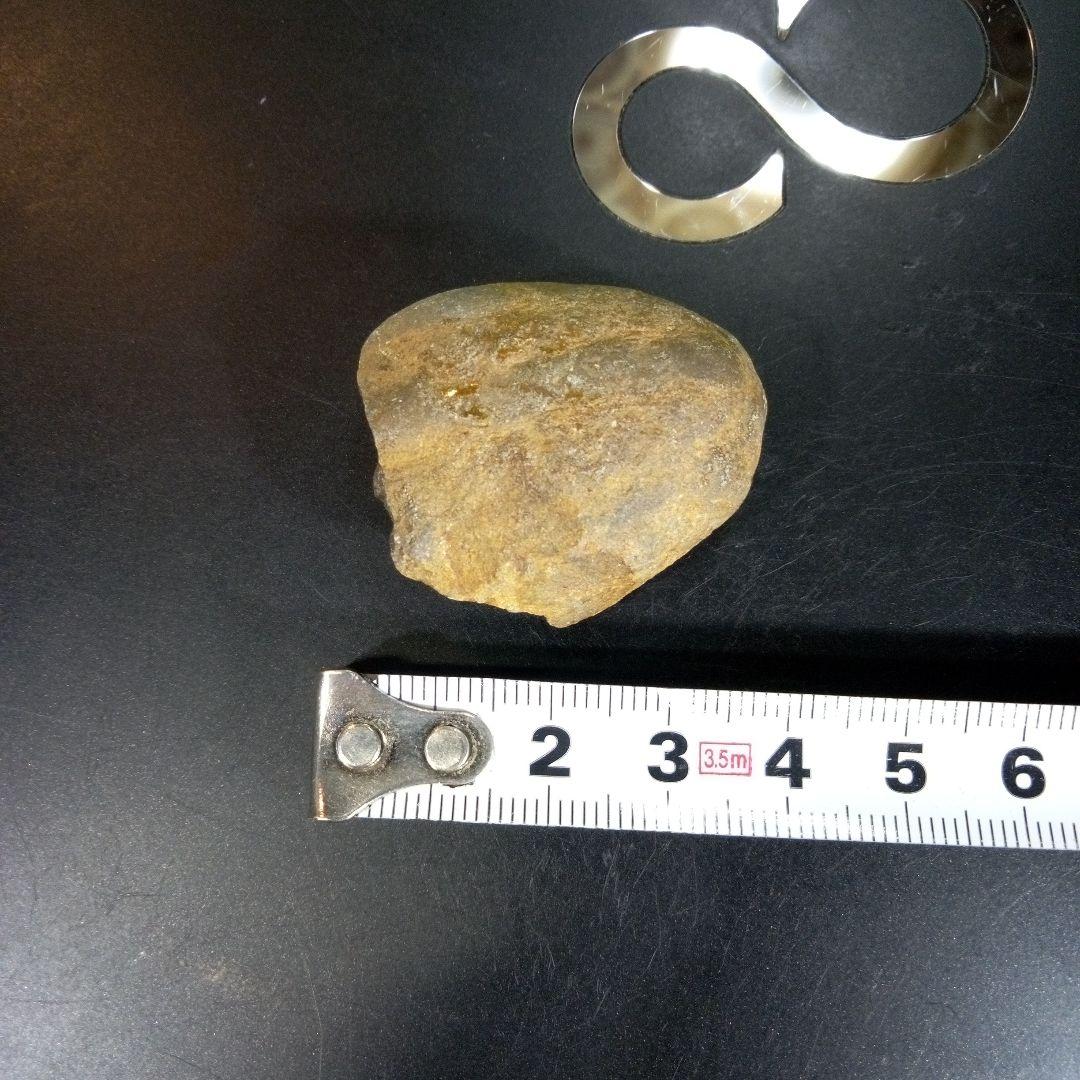 三葉虫　化石　fossil　ボリビア　trilobite　三葉虫綱　三葉虫管理⑨