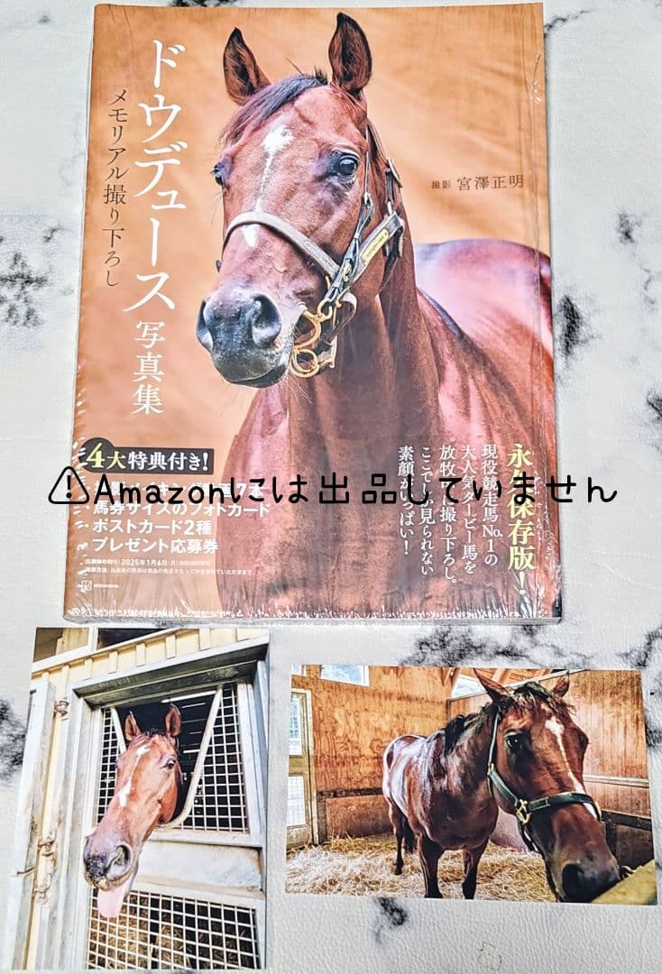 【競馬】ドウデュース セット まとめ売り
