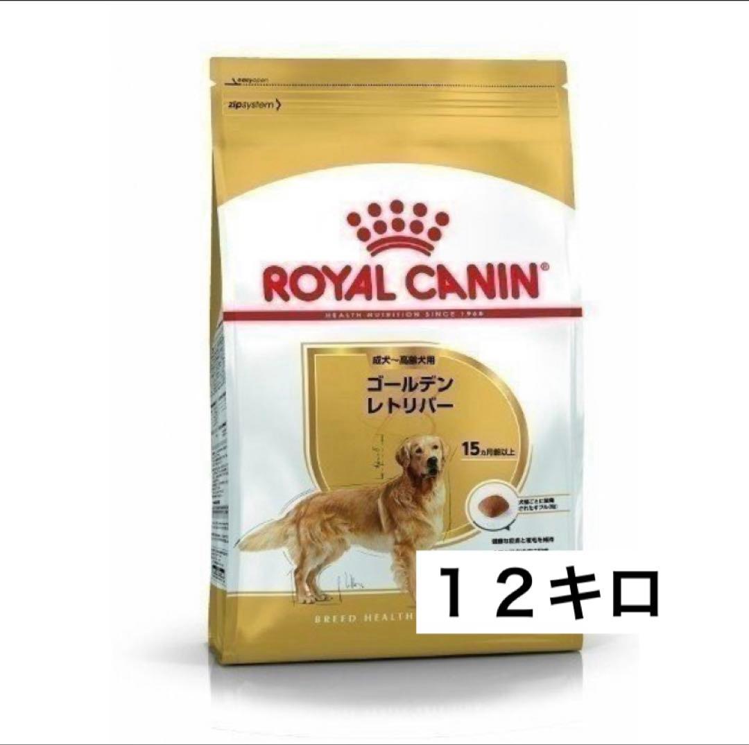 ロイヤルカナン ゴールデンレトリバー成犬用１２キロ