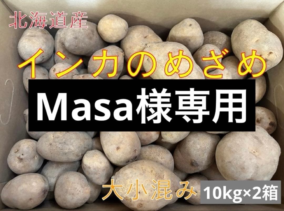 【Masa】北海道産じゃがいも（インカのめざめ）　大小混み10kg✖️2箱