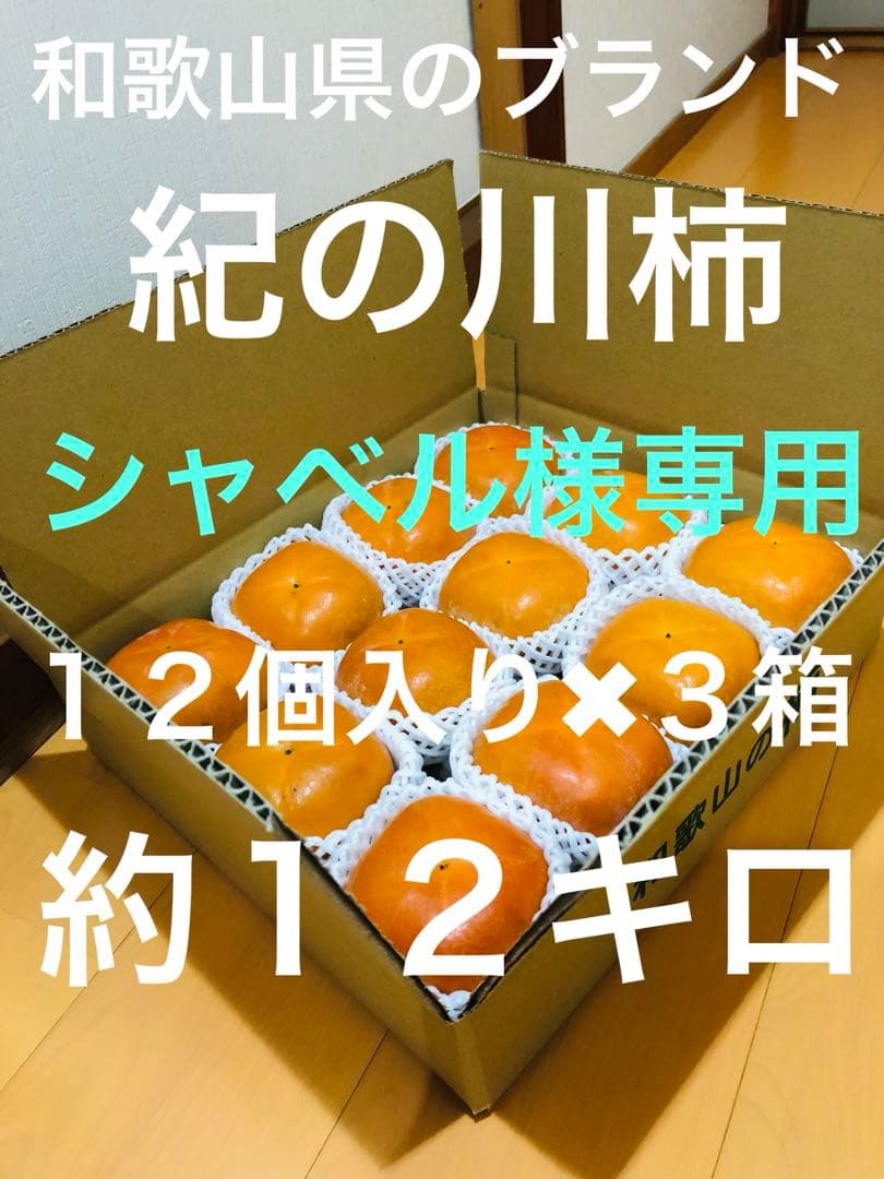 ※シャベル※和歌山県のブランド【紀の川柿】✖︎３箱