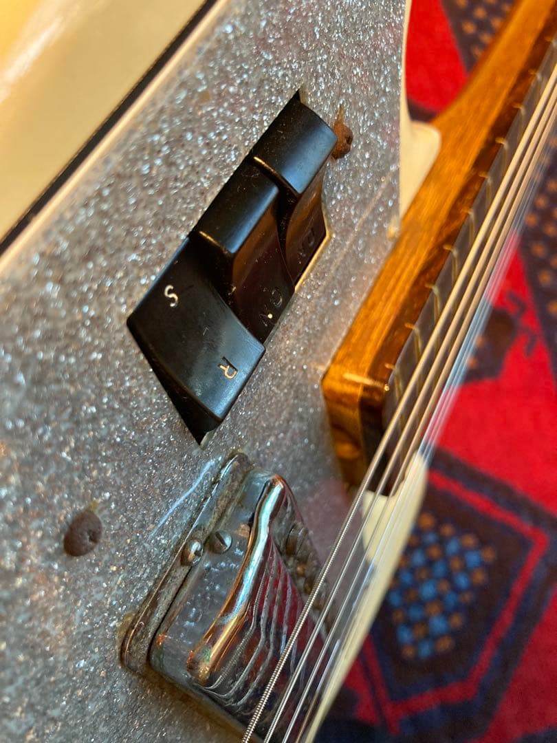 Regina 名東電気 Kawai ピックアップ ビザール