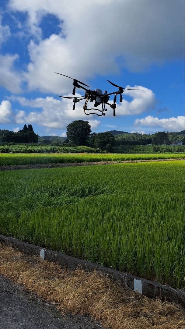 山形県尾花沢産　つや姫5kg×2袋