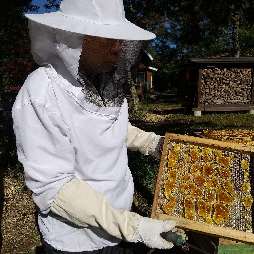ハッチ 日本蜜蜂 ハチミツ 1160g 2本セット八ヶ岳西麓1250m