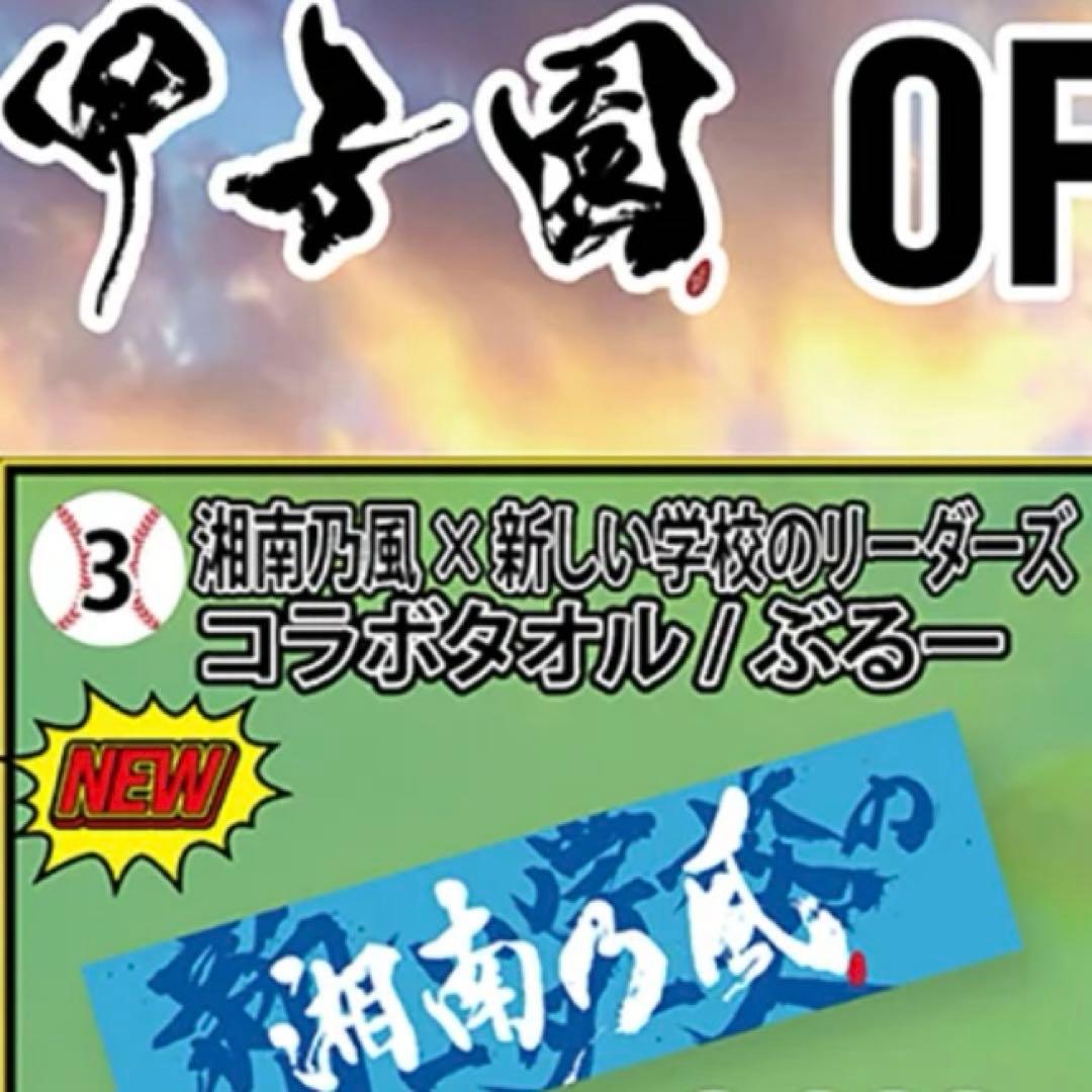 湘南乃風 新しい学校のリーダーズ コラボタオル