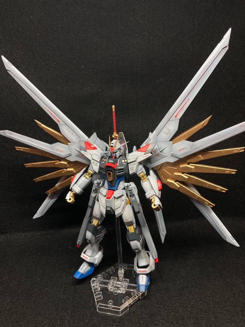 HG ストライクフリーダム弍式　塗装済　完成品
