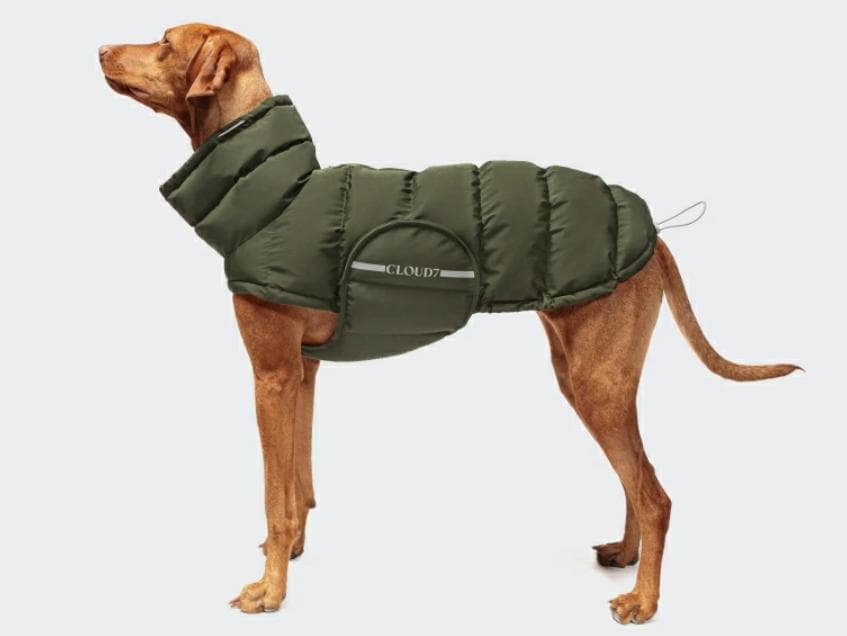 Dog Coat Alaska ドッグコート アラスカ Light Olive