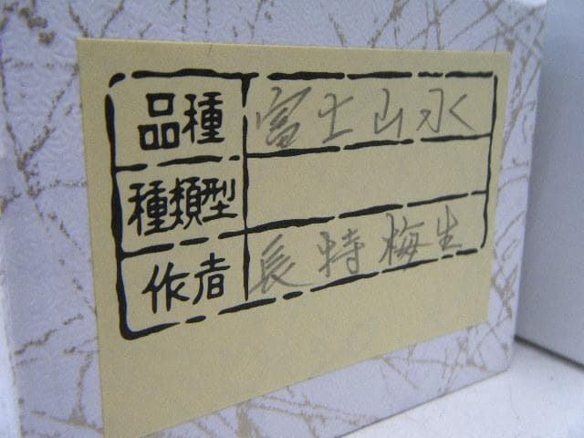 【未使用品】掛軸 長持梅生『富士山水』日本画 絹本 箱付 掛け軸 L01619