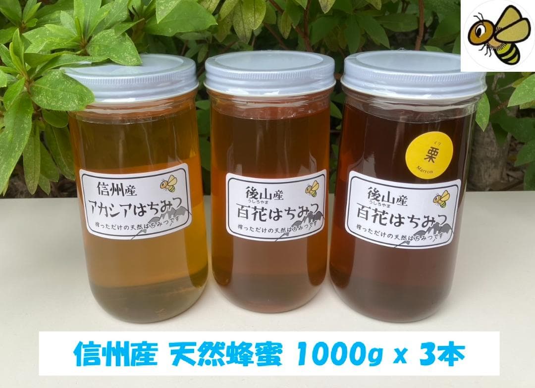 国産蜂蜜 信州産 1000g 3本セット 百花 アカシア 栗蜜