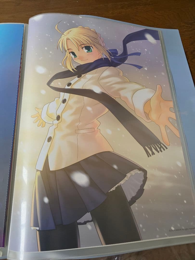 Fate/stay night ファイル　絵　画　ポスター　10枚セット