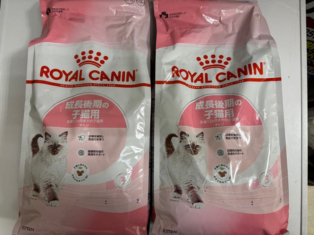 CANIN 成長後期の子猫用 2kg✖️2袋