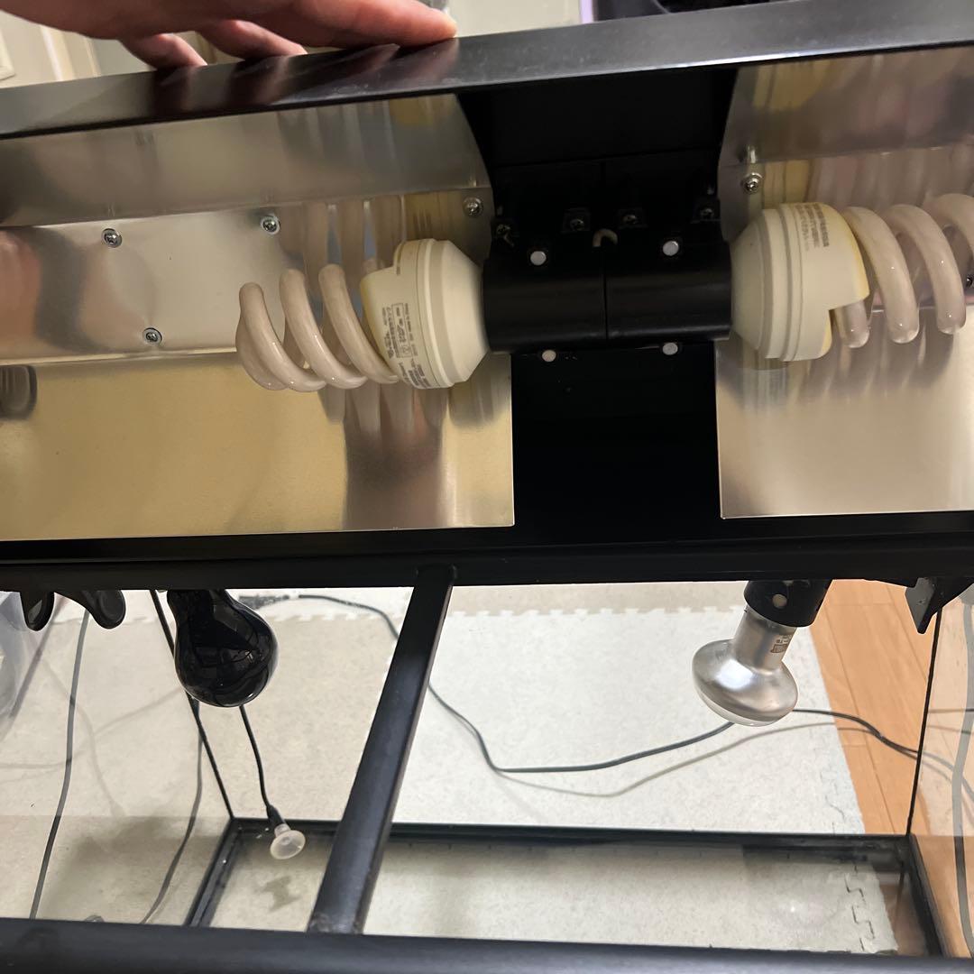 。専用 エキゾテラGEX EXOTERRA グラステラリウム6045