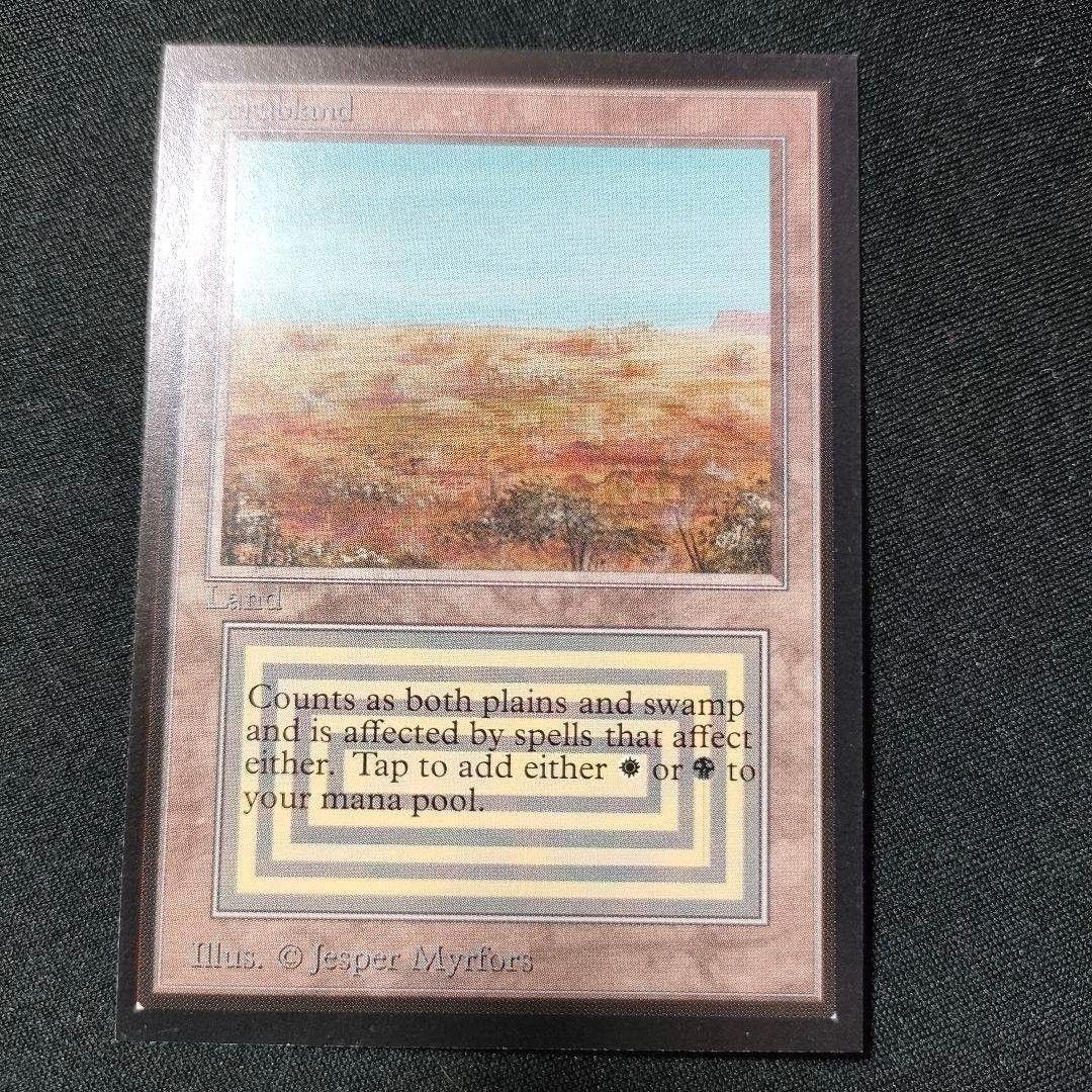 MTG 金枠 Scrubland CE Collector's Edition