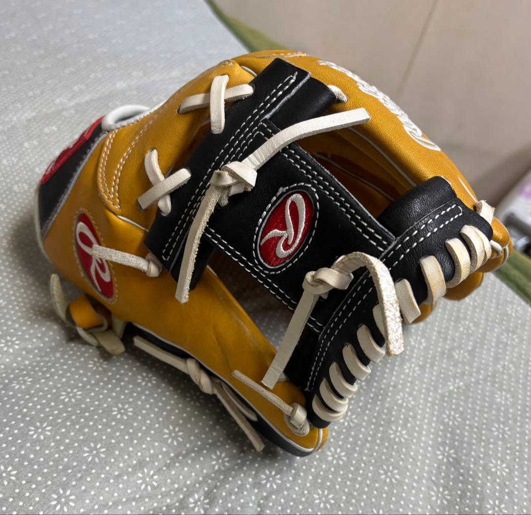 Rawlings 軟式グローブ THE GOLD GLOVE
