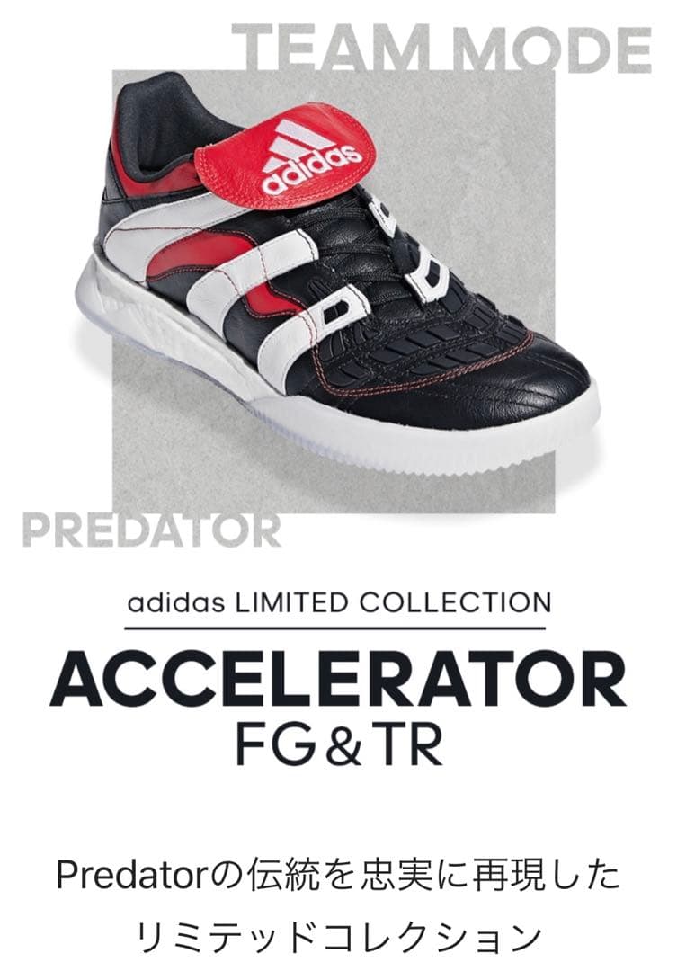 シューズ ADIDAS ACCELERATOR TR